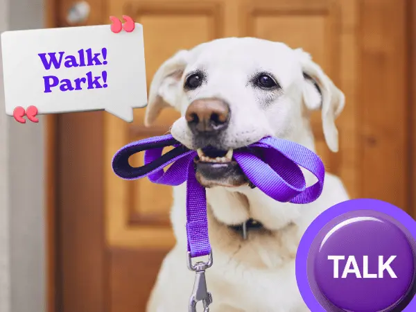 How To Teach A Dog To Talk [with Talk Buttons]